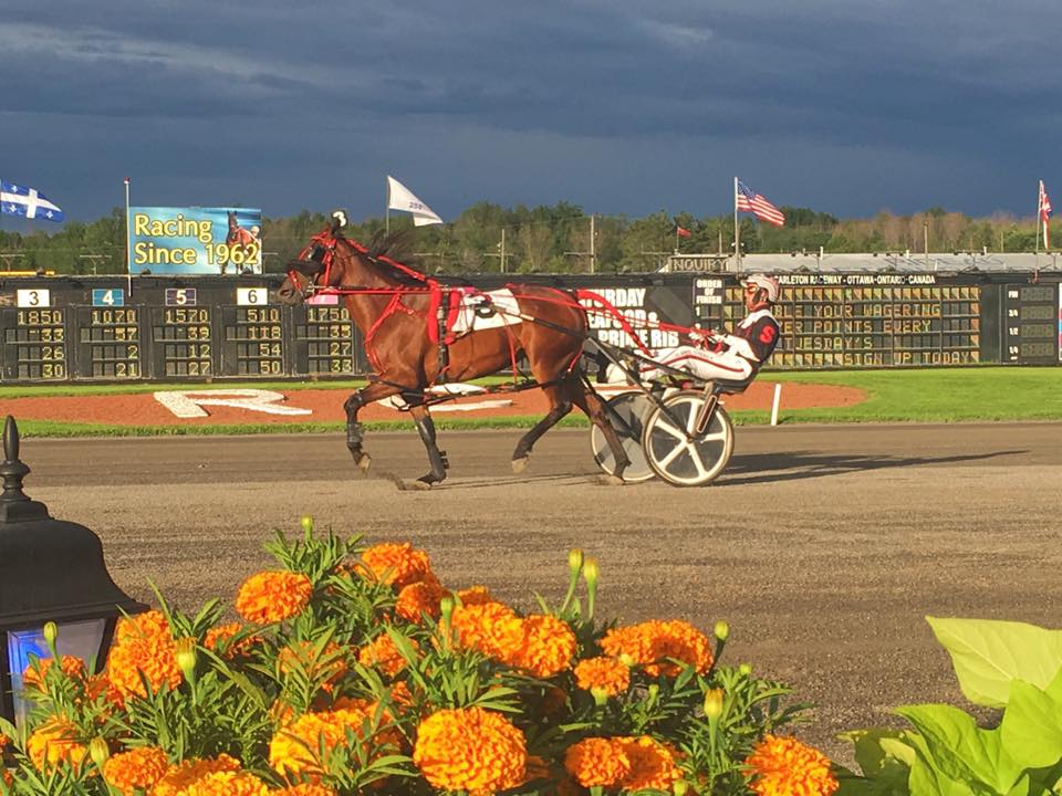Rideau Carleton Raceway joins Standardbred Alliance as a ‘Signature ...