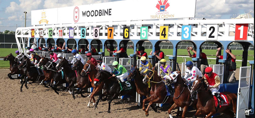 Racing Night Live presented by OLG Returns to TSN - Woodbine Entertainment