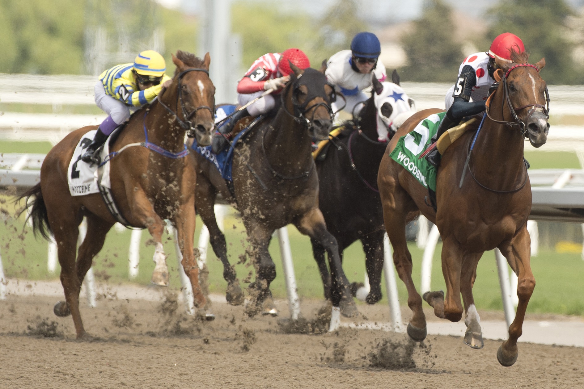 Live Horse Racing is Coming to DAZN Canada - Woodbine Entertainment