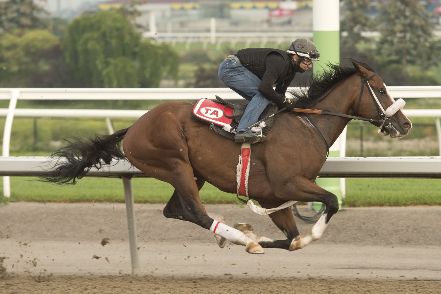 162nd Queen's Plate Power Rankings: Keep Grinding No. 1 - Kings Plate