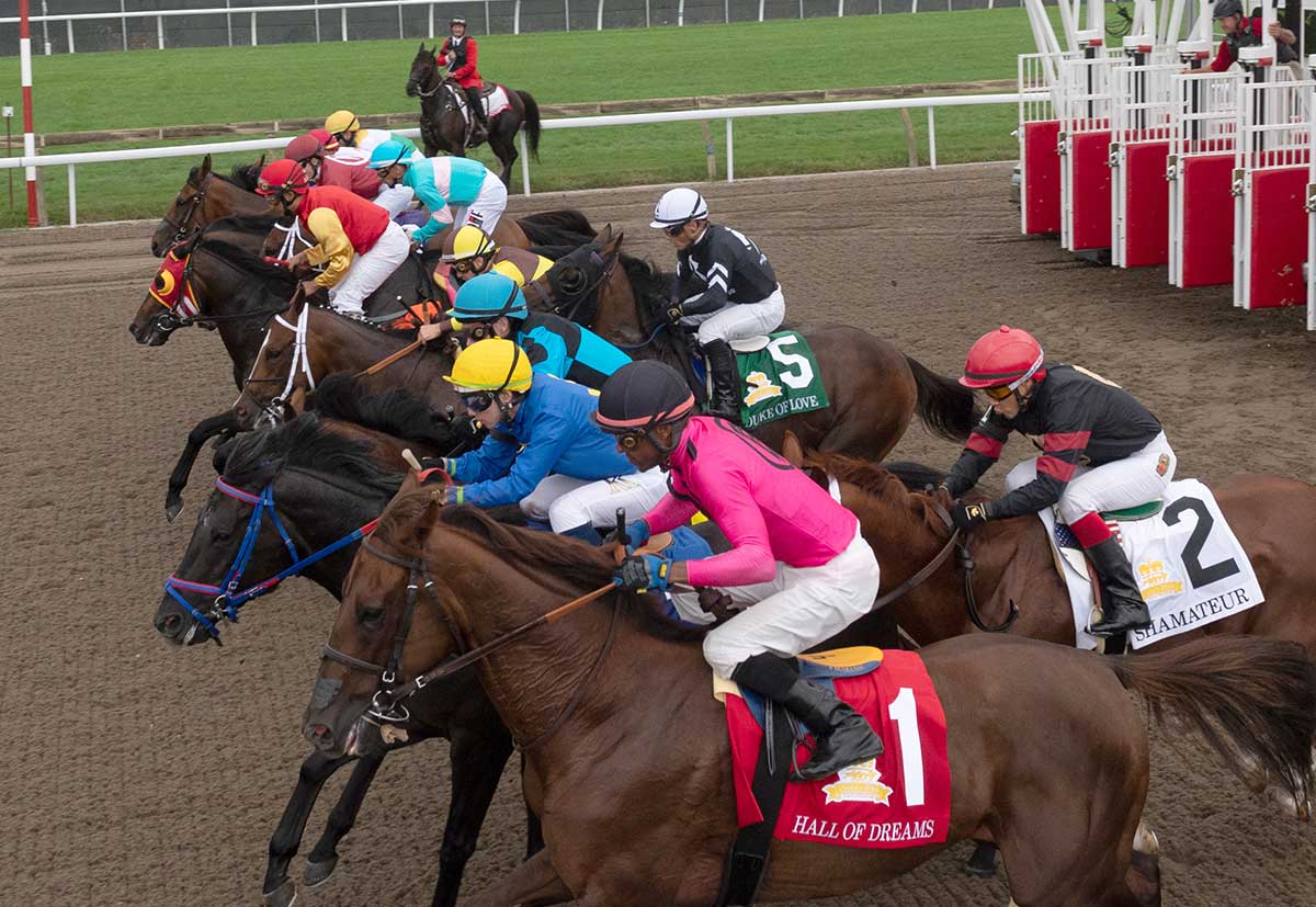 Home - Kings Plate