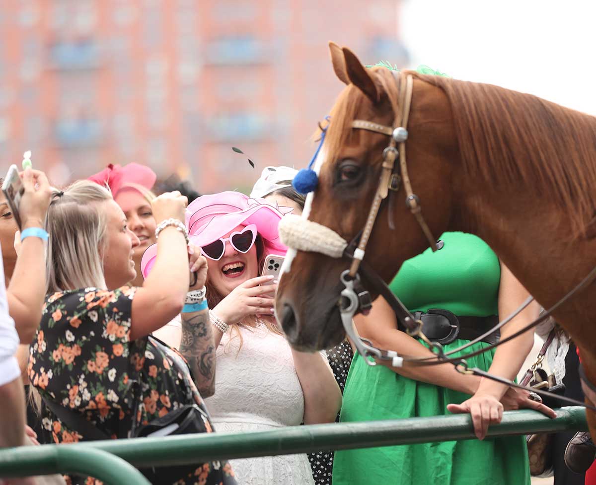 Tickets - Kings Plate