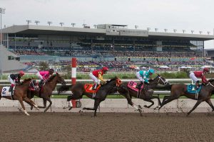 Home - Kings Plate