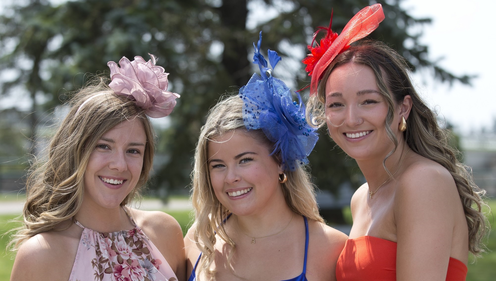 Experience Guide - Kings Plate