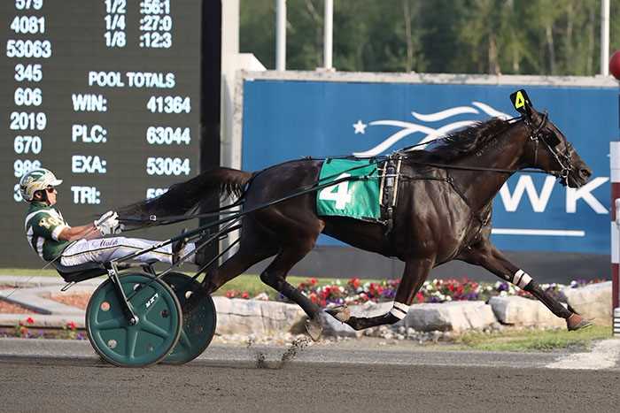 Hannelore Hanover repeats in Armbro Flight - Woodbine Mohawk Park