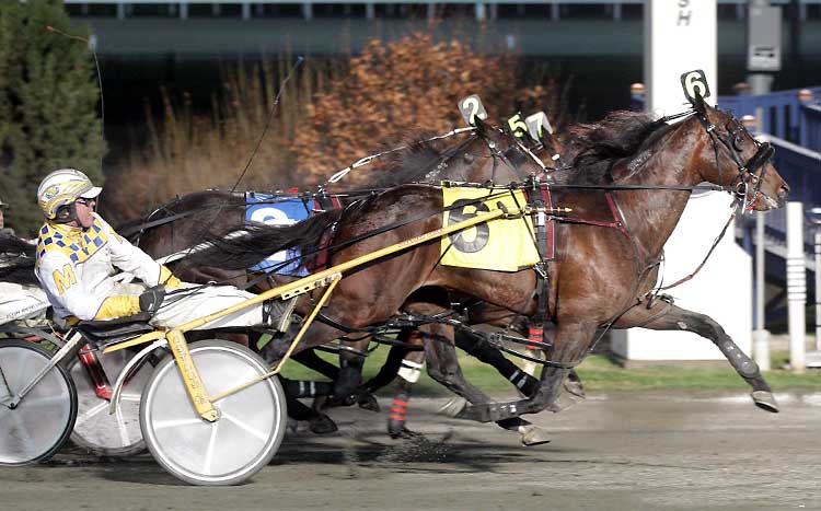 Top 5 Races of the Week (April 14-18) - Woodbine Mohawk Park