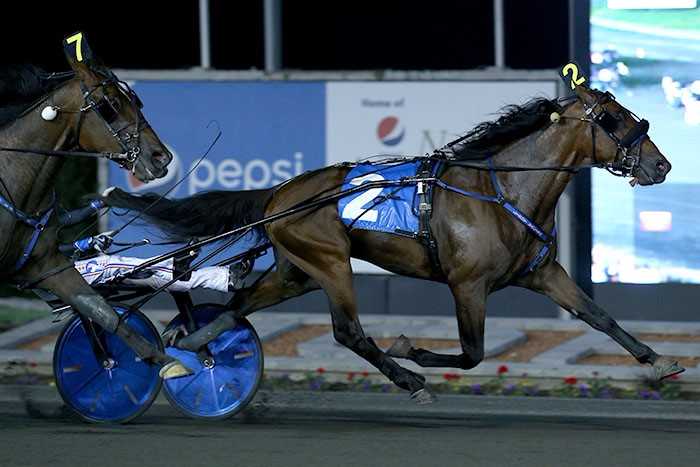 International Moni captures Goodtimes - Woodbine Mohawk Park