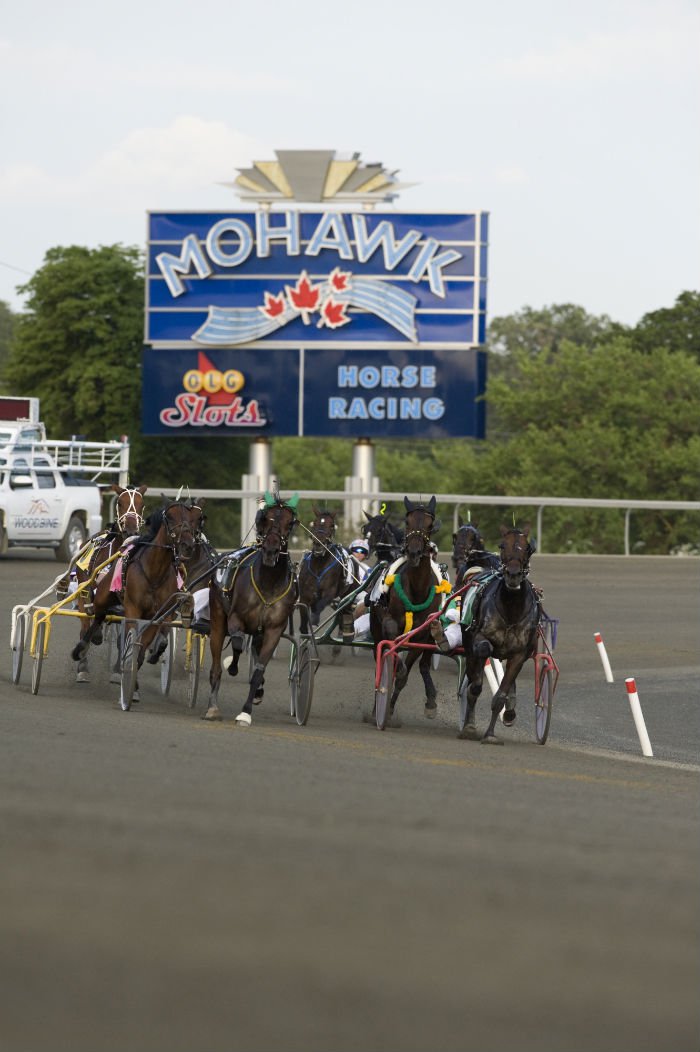 Top 5 Races of the Week (August 11-16) - Woodbine Mohawk Park