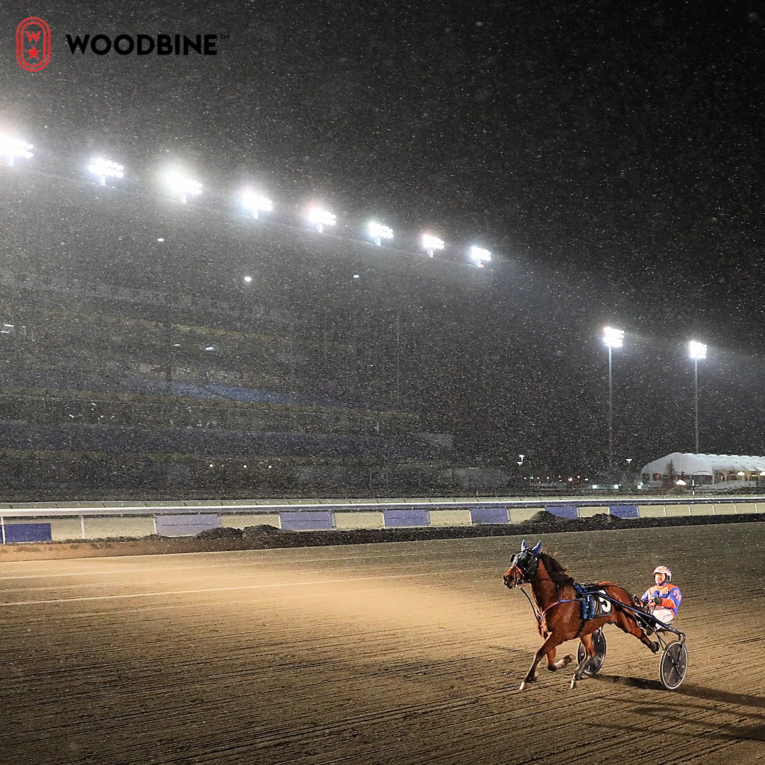 Final Standardbred race at Woodbine contested - Woodbine Mohawk Park
