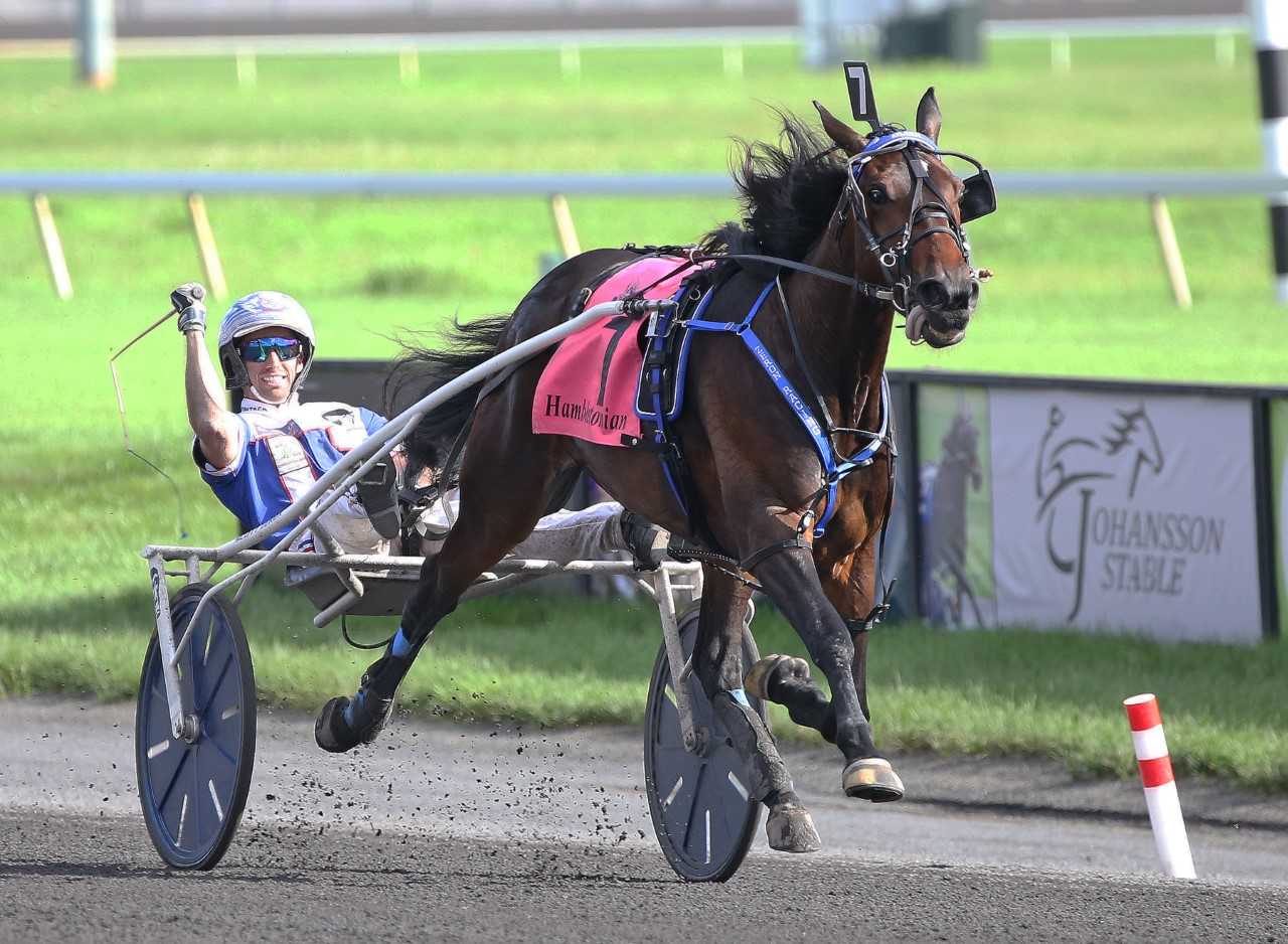Mohawk Park to honour Atlanta Saturday - Woodbine Mohawk Park
