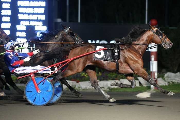 Dancer Hall victorious again in Preferred - Woodbine Mohawk Park