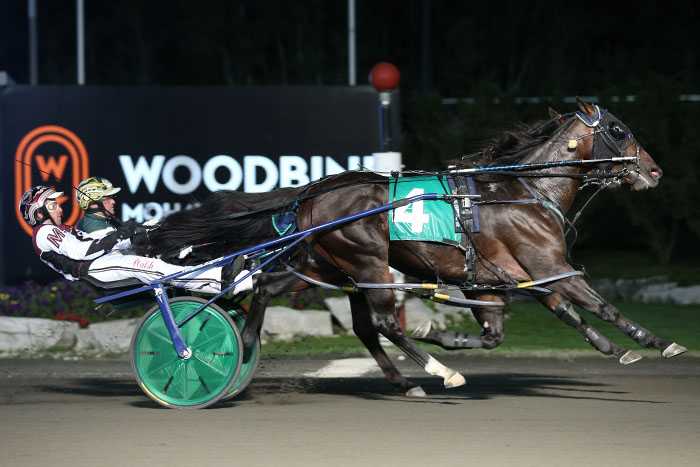 Stay Hungry prevails in Simcoe duel - Woodbine Mohawk Park