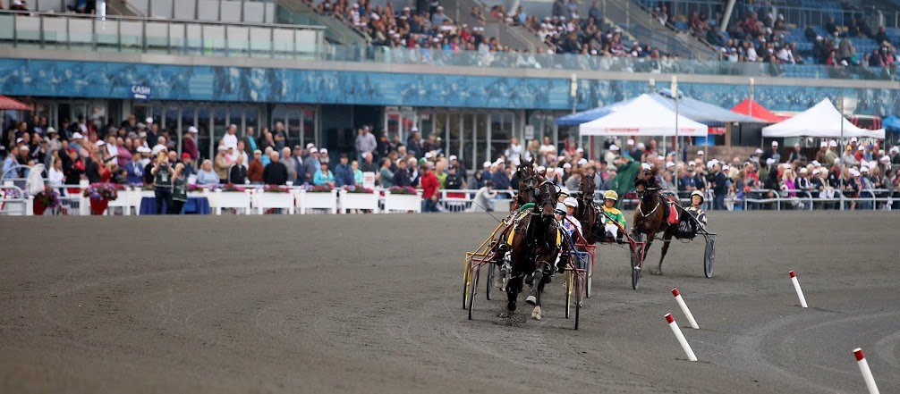 Woodbine Entertainment to temporarily suspend racing at Mohawk Park ...