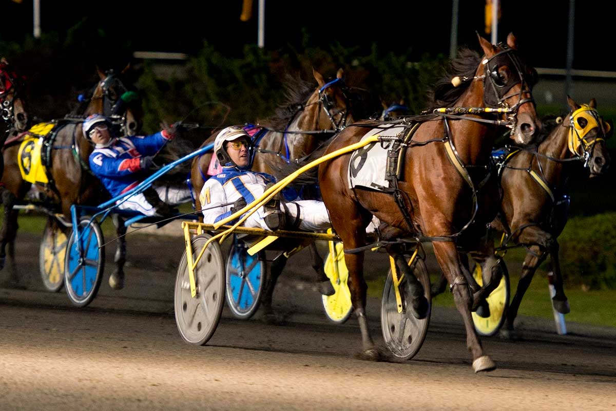 Live Horse Racing Now Available to 2 Million Households Across Canada ...