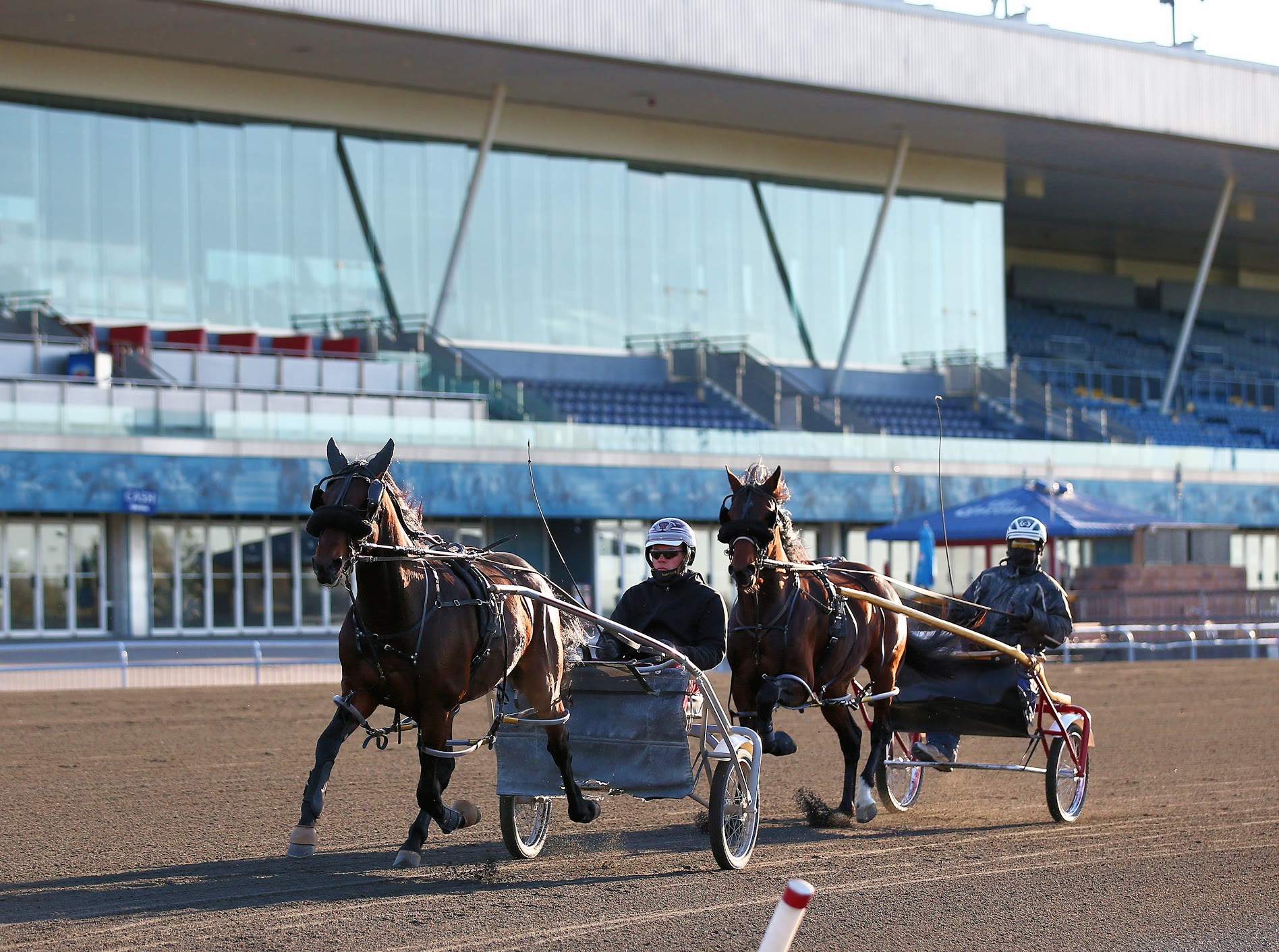 Sign-up for Training opens Saturday at 3 p.m. - Woodbine Mohawk Park
