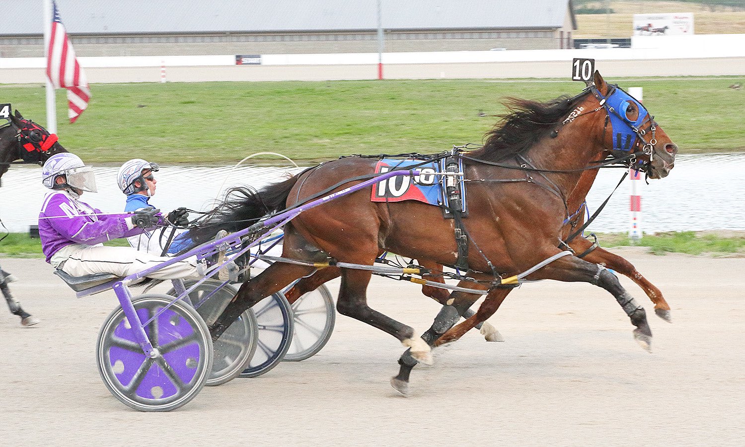 Million-dollar experiment beginning to pay off for trainer Todd Luther ...