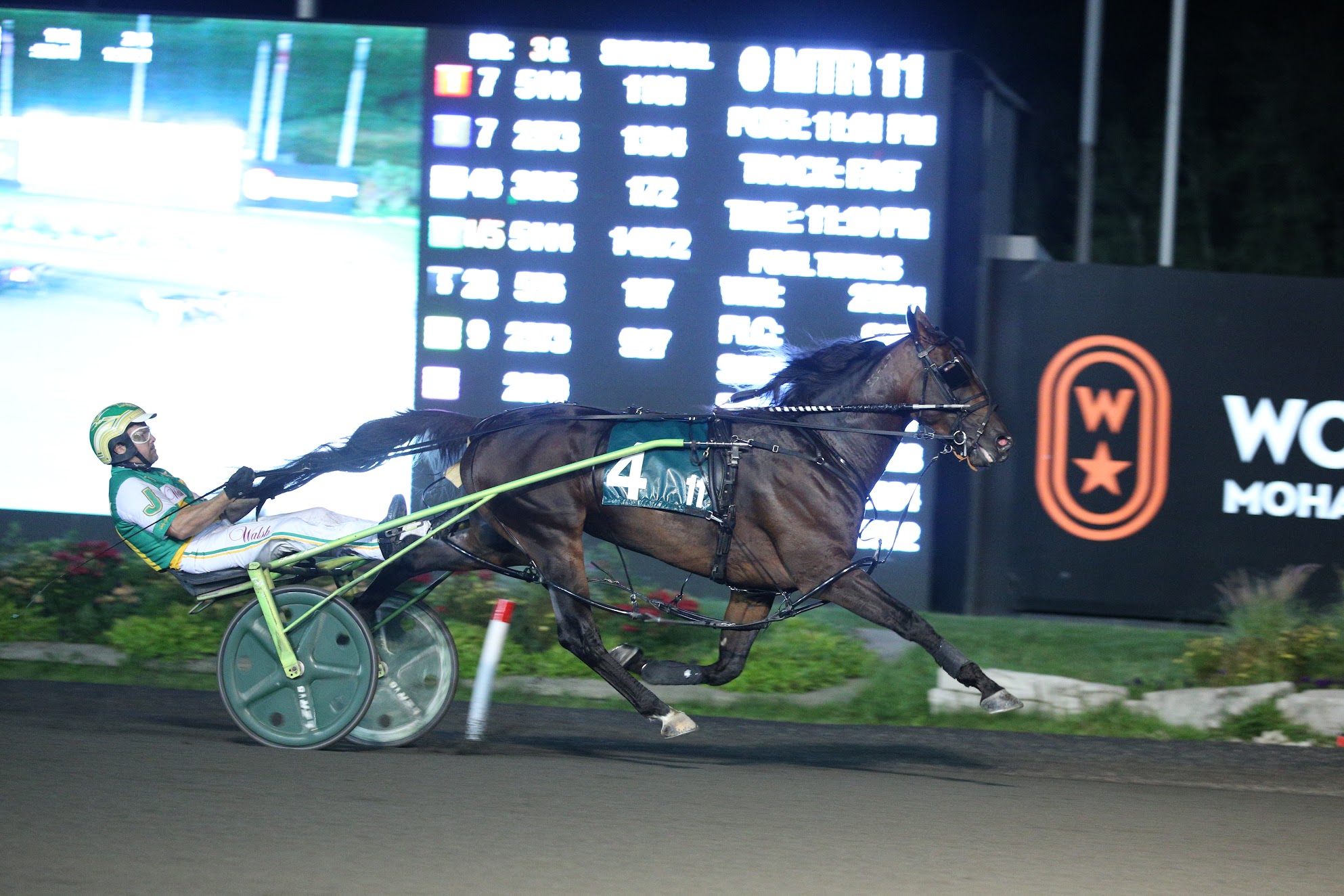 Bulldog Hanover, Whichwaytothebeach victorious in Somebeachsomewhere ...
