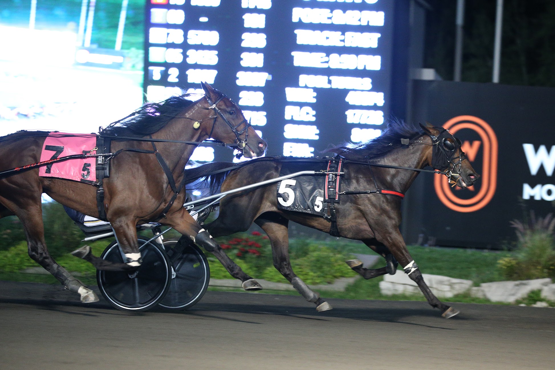 Donna Soprano battles back to capture Elegantimage - Woodbine Mohawk Park
