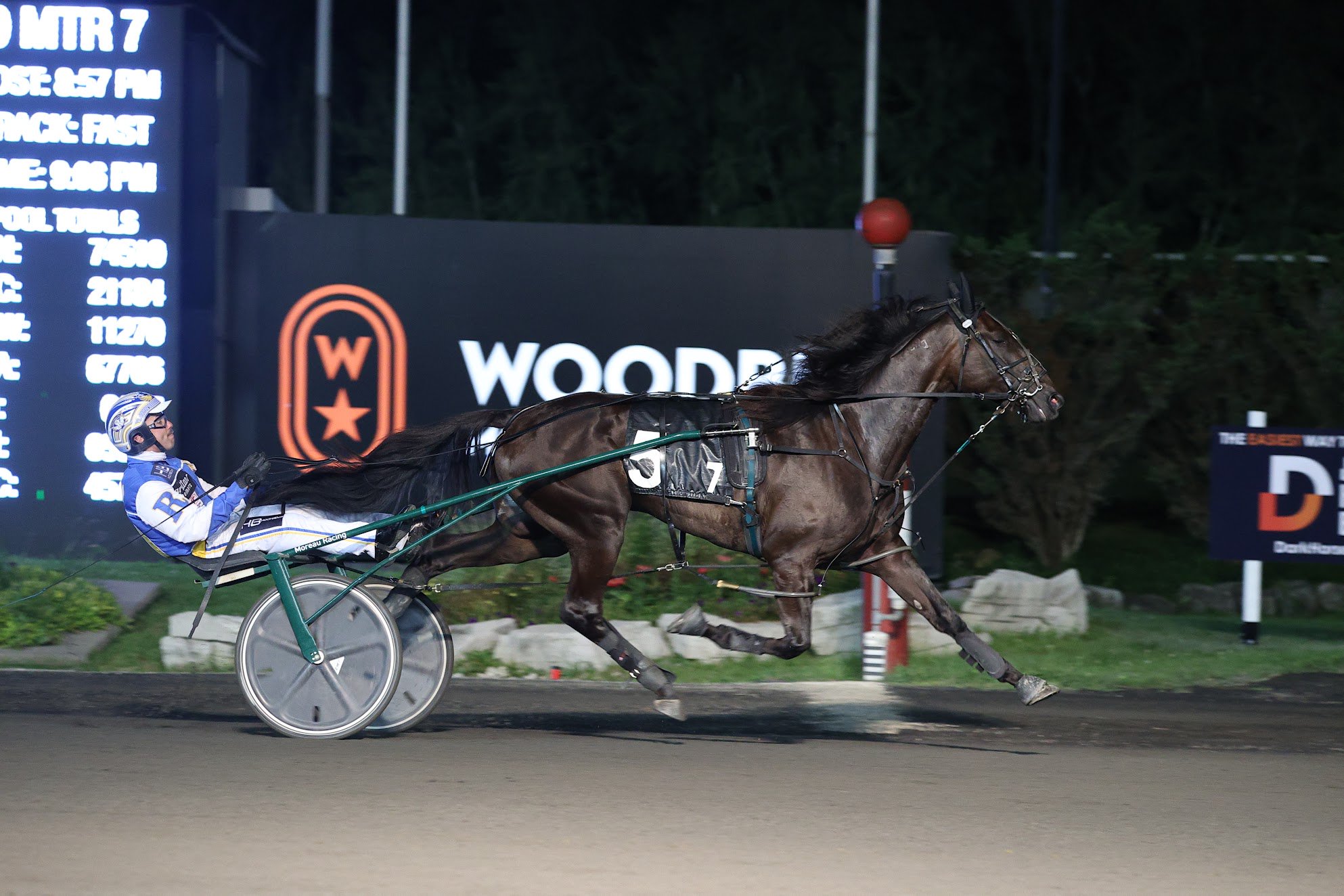 Canadian Trotting Classic headlines another Super Saturday - Woodbine ...