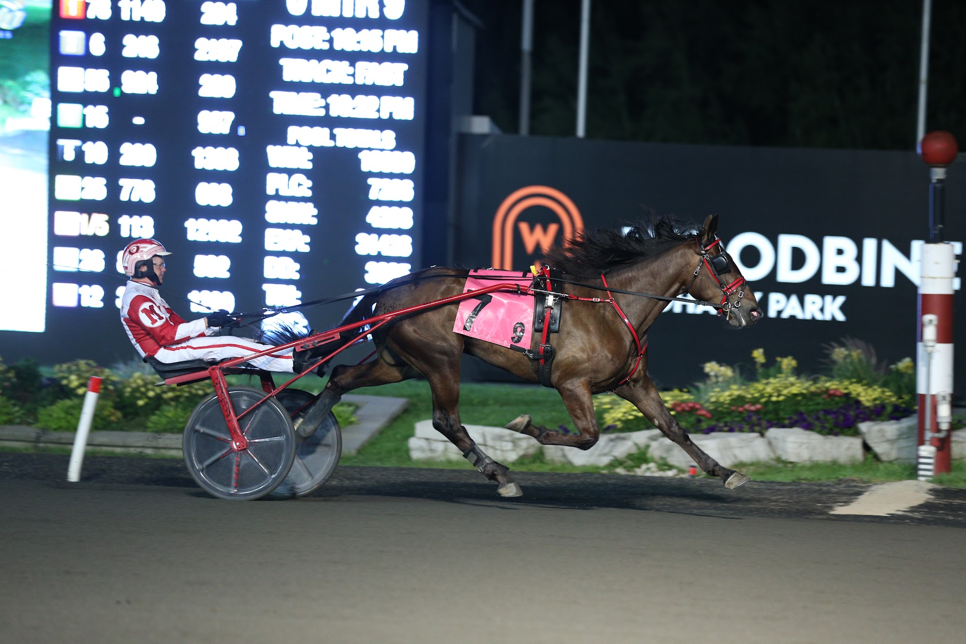 Bax believes Mohawk Million will be a tremendous betting race ...