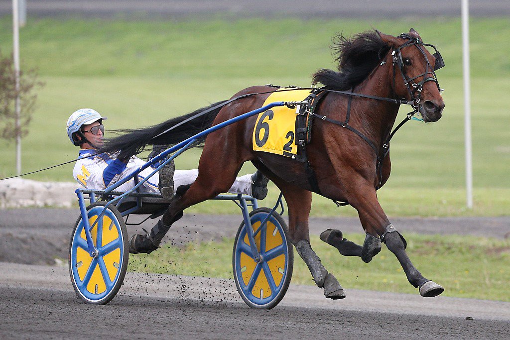 These Three Things: Adare Castle - Woodbine Mohawk Park
