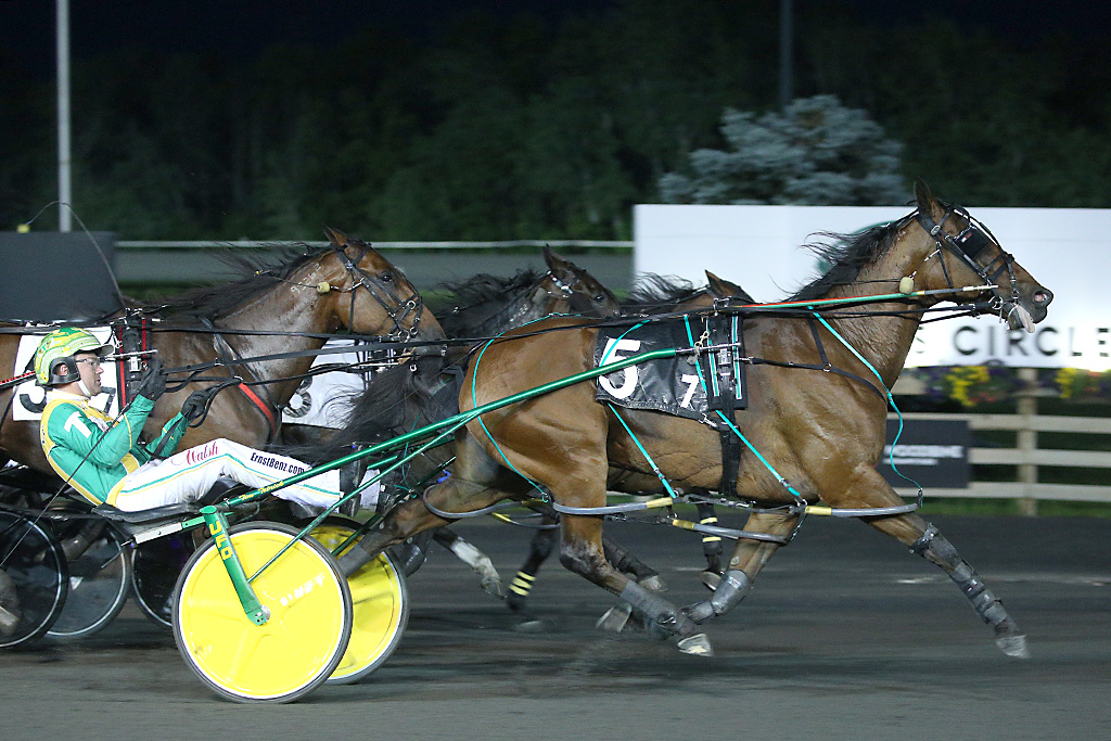 Test Of Faith & Lyons Sentinel Impress In Roses Are Red - Woodbine ...