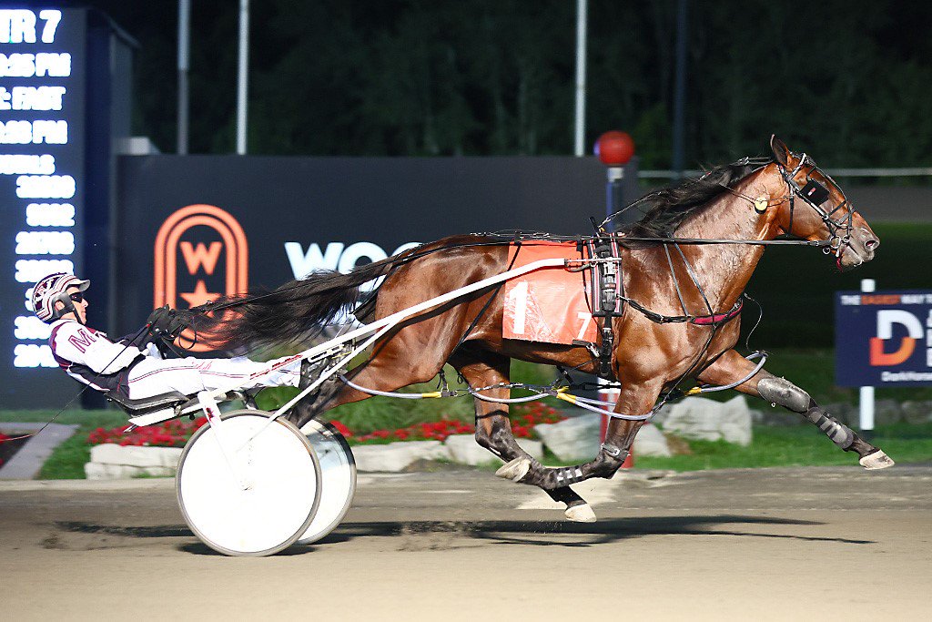 Stonebridge Helios and Kolby Two Step grab more Gold in OSS action ...