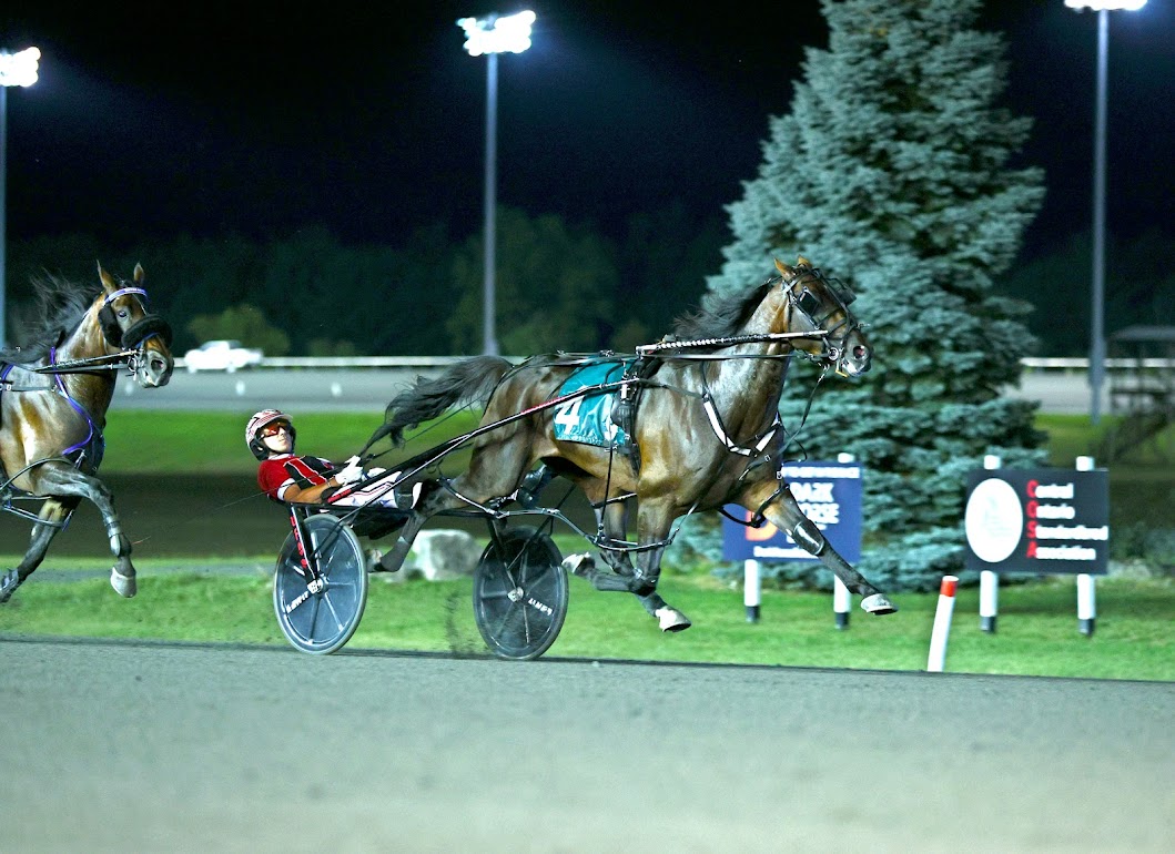Bulldog Hanover fetches Canadian Pacing Derby crown - Woodbine Mohawk Park