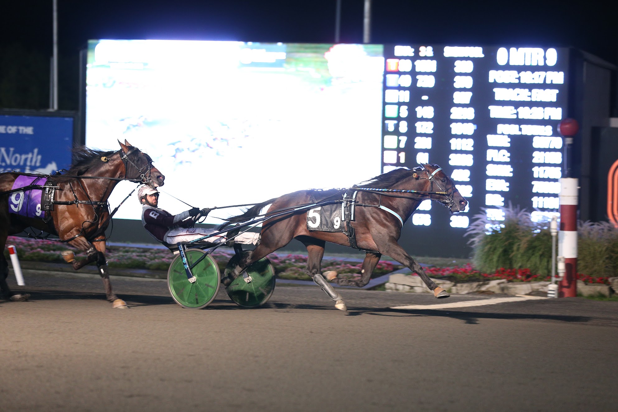 Slay recovers for dramatic Canadian Trotting Classic win - Woodbine ...