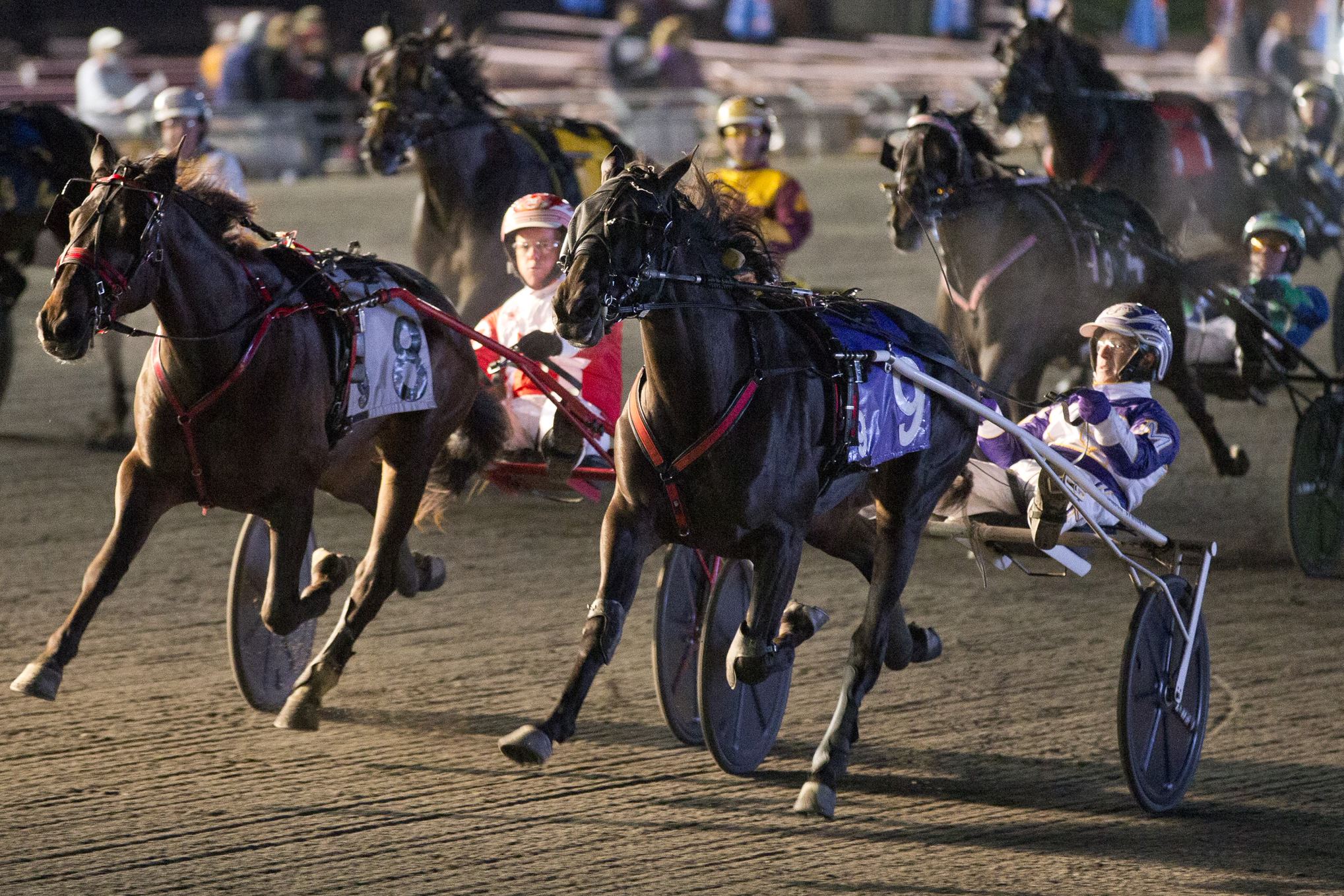 Thursday live racing cancelled at Woodbine Mohawk Park - Woodbine ...