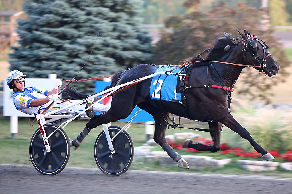 Twin B Archie Takes Simcoe - Woodbine Mohawk Park
