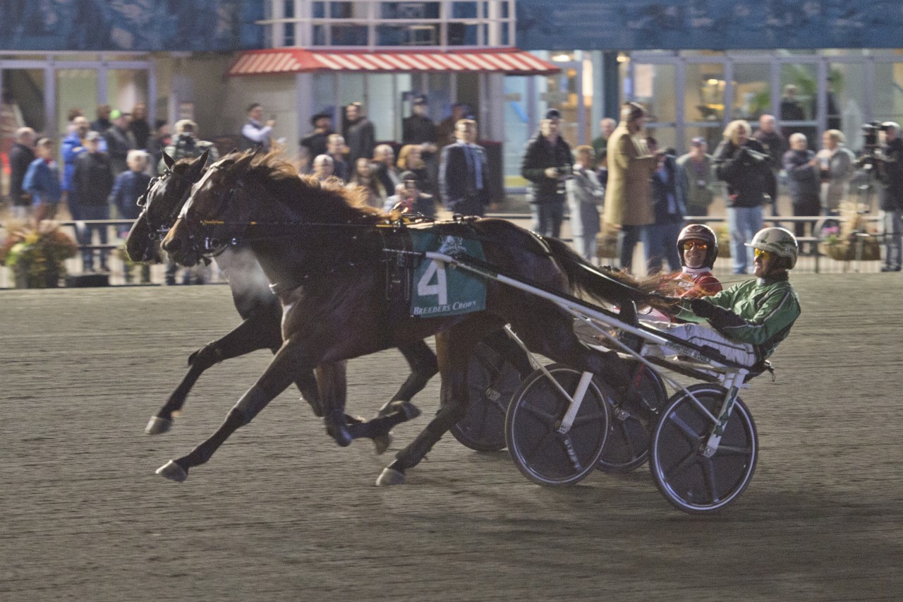 Truly A Special Filly In Record Performance - Woodbine Mohawk Park