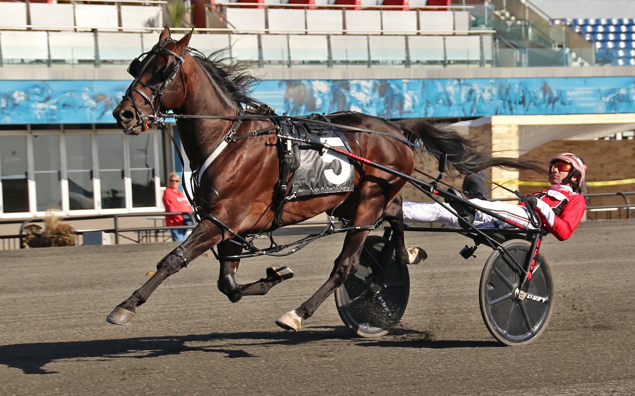 Bulldog Hanover preps for Crown with 1:51.2 qualifier - Woodbine Mohawk ...