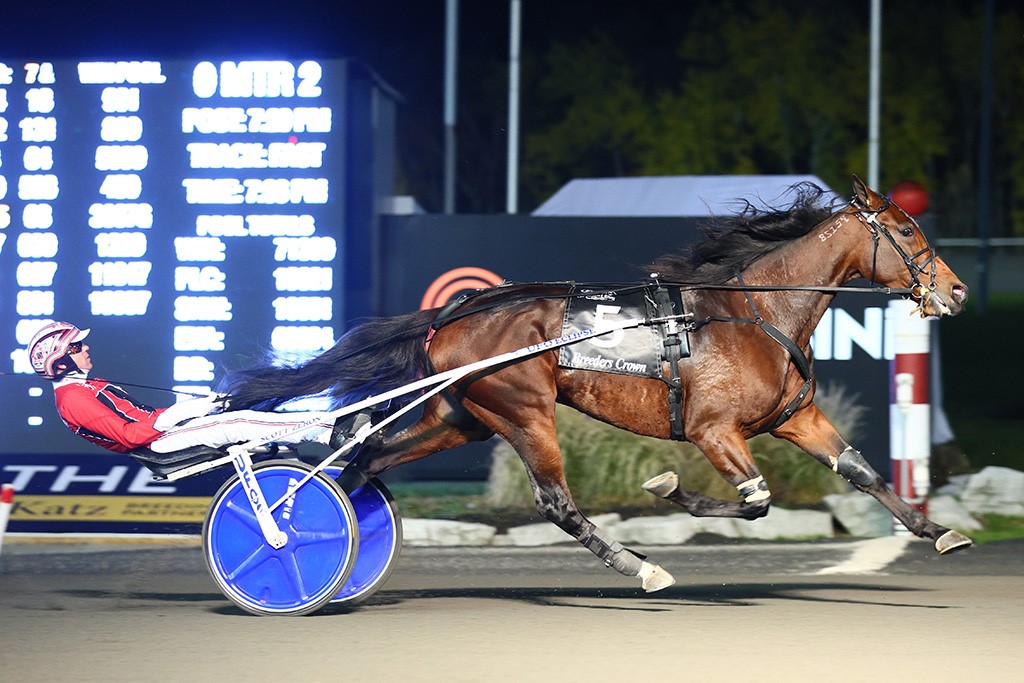 Back To Back Breeders Crowns For Bella Bellini - Woodbine Mohawk Park