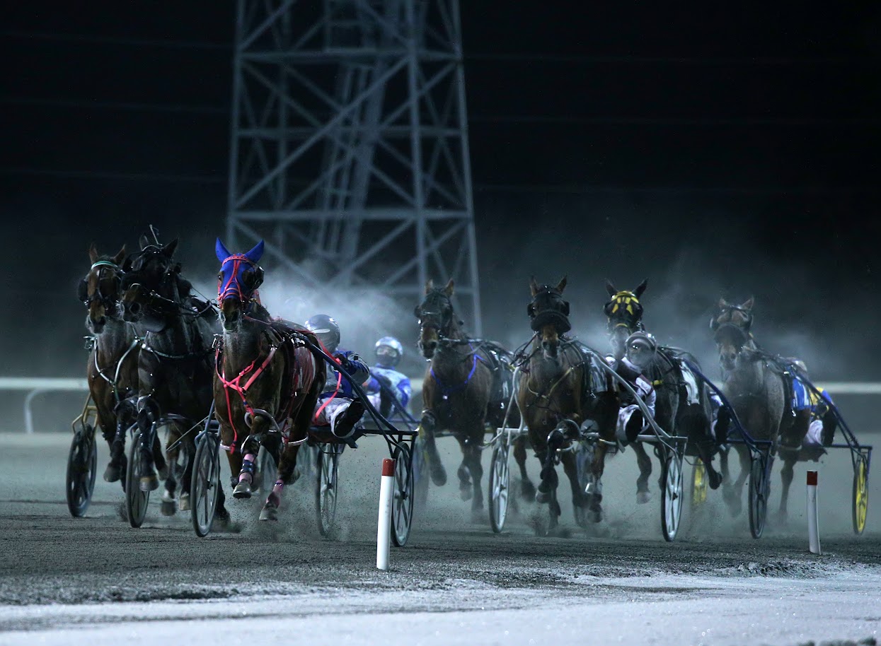 Woodbine reintroduces Free For All to condition sheet - Woodbine Mohawk ...