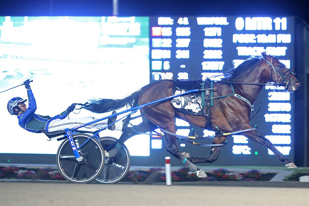 Woodbine Standardbred Stakes Nominations due Wednesday - Woodbine ...