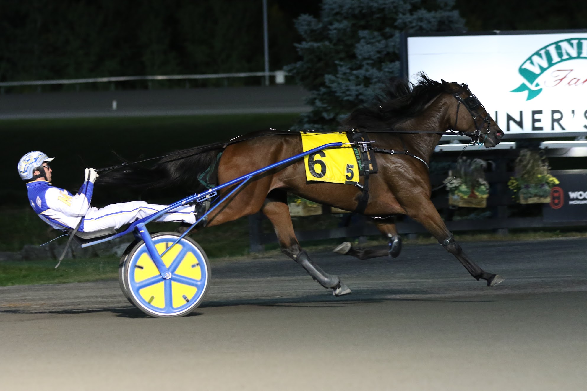 New Ontario Graduate Series begins this weekend - Woodbine Mohawk Park