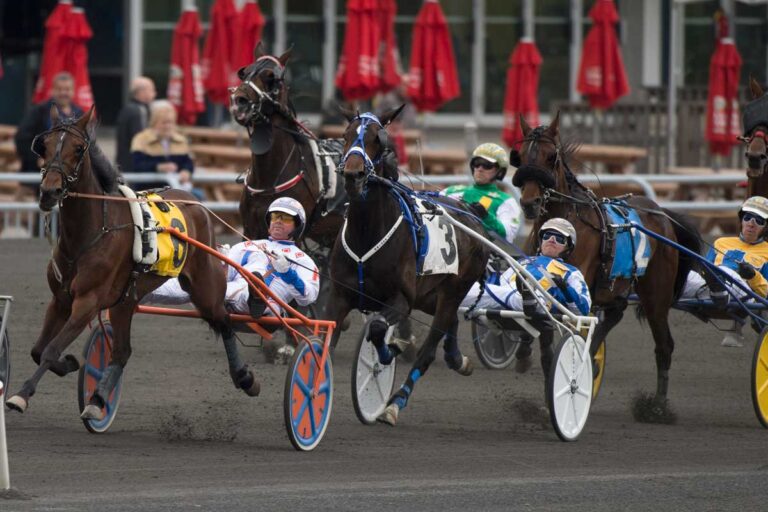 Canadian Pacing Derby And Maple Leaf Trot - Woodbine Mohawk Park