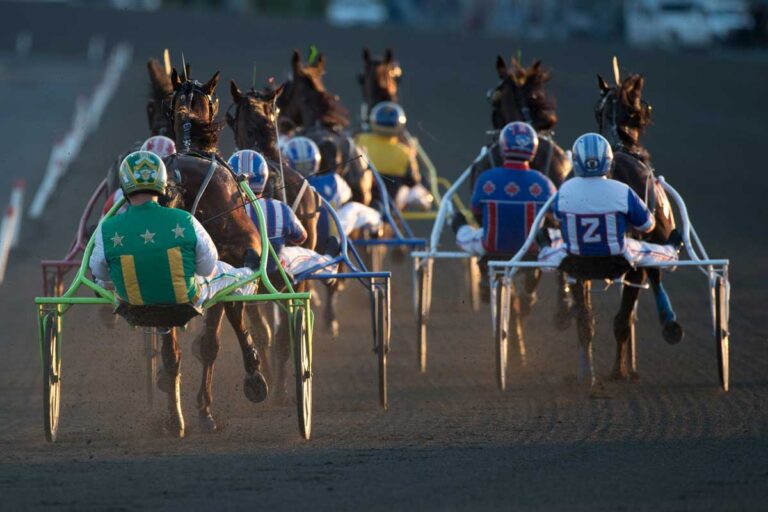 Canadian Pacing Derby And Maple Leaf Trot - Woodbine Mohawk Park