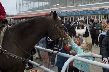 Experiences - Woodbine Mohawk Park