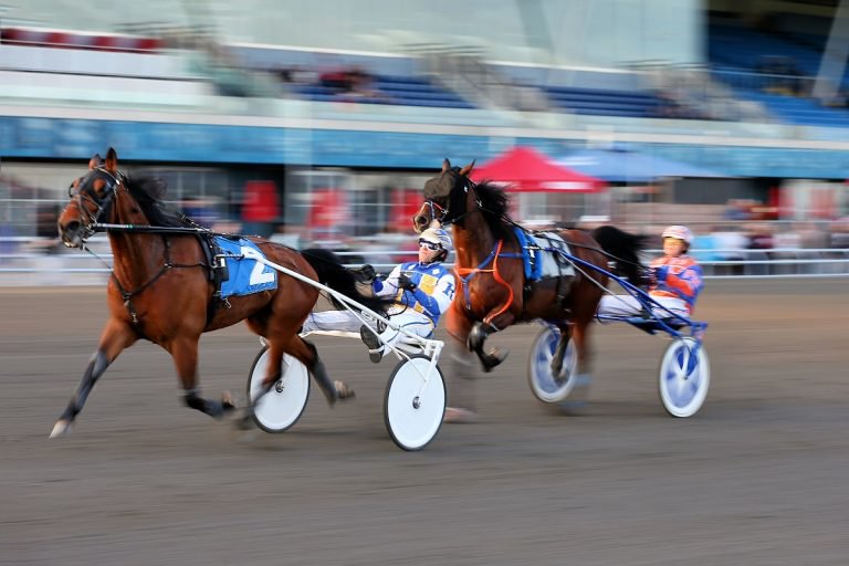 Experiences - Woodbine Mohawk Park