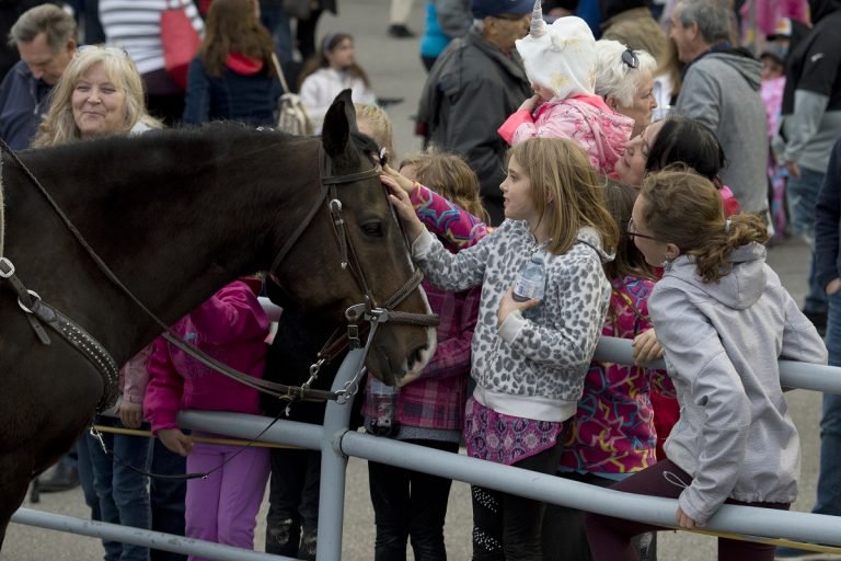 Experiences - Woodbine Mohawk Park