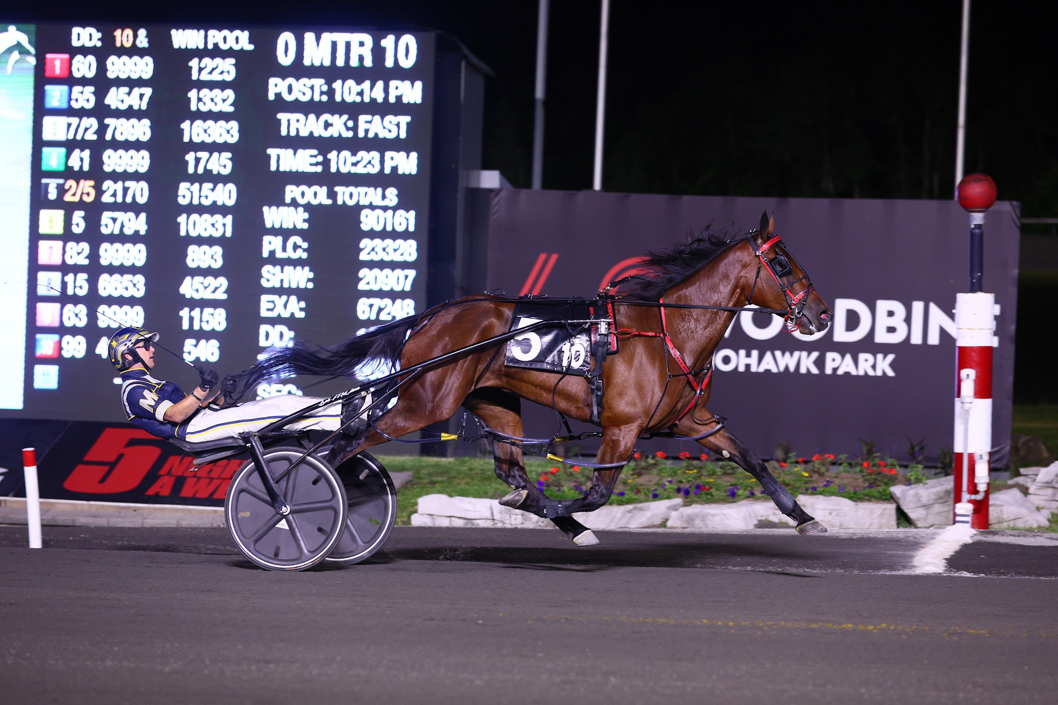 Sylvia Simply Sensational In Fan Hanover - Woodbine Mohawk Park