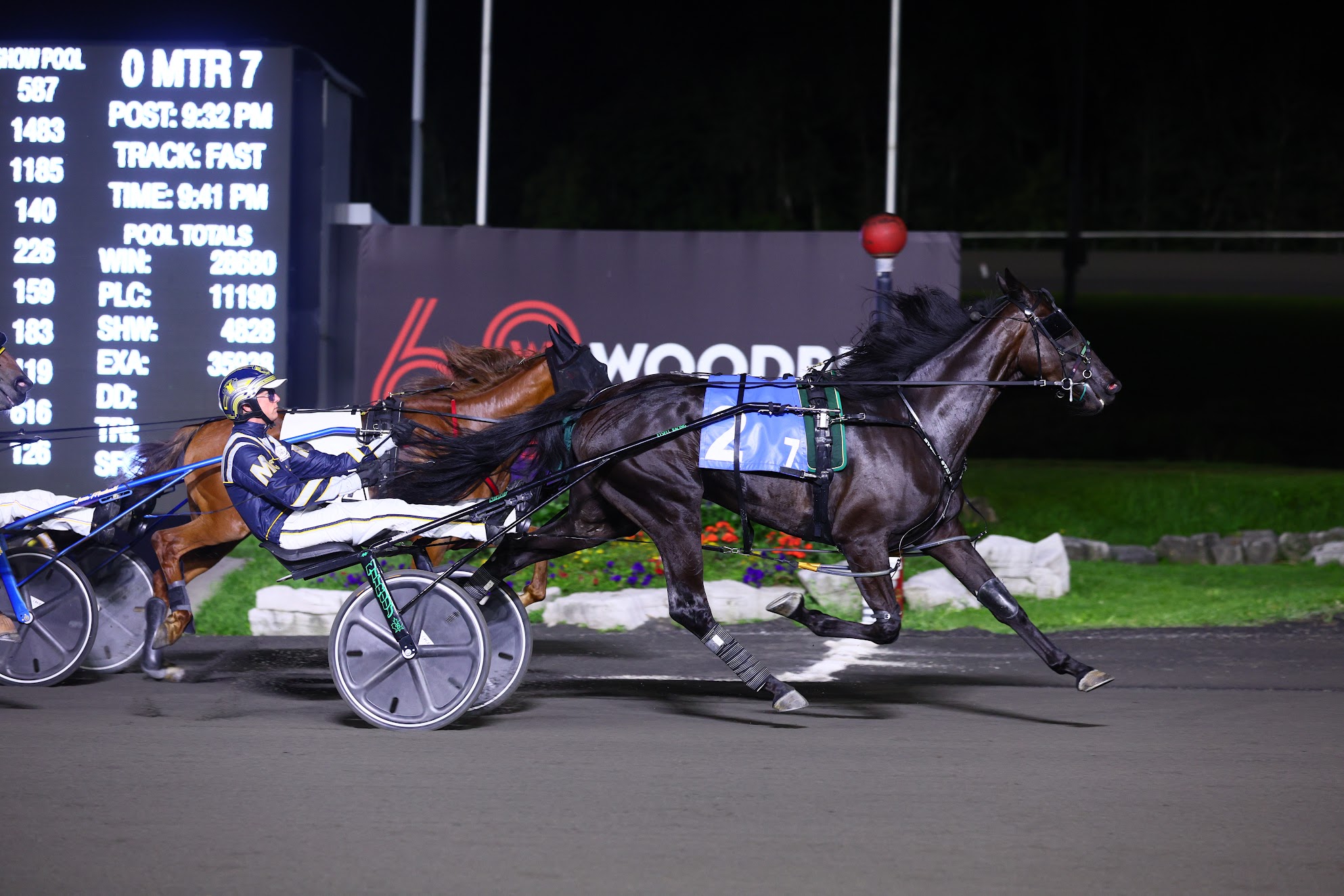 Young trotters impress in Champlain - Woodbine Mohawk Park