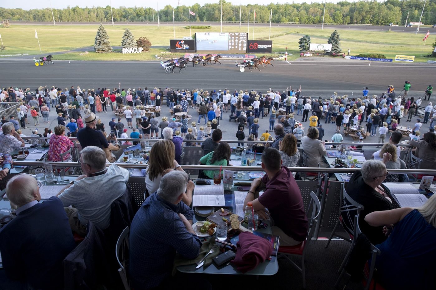 Woodbine releases schedule for massive 2025 stakes season - Woodbine ...