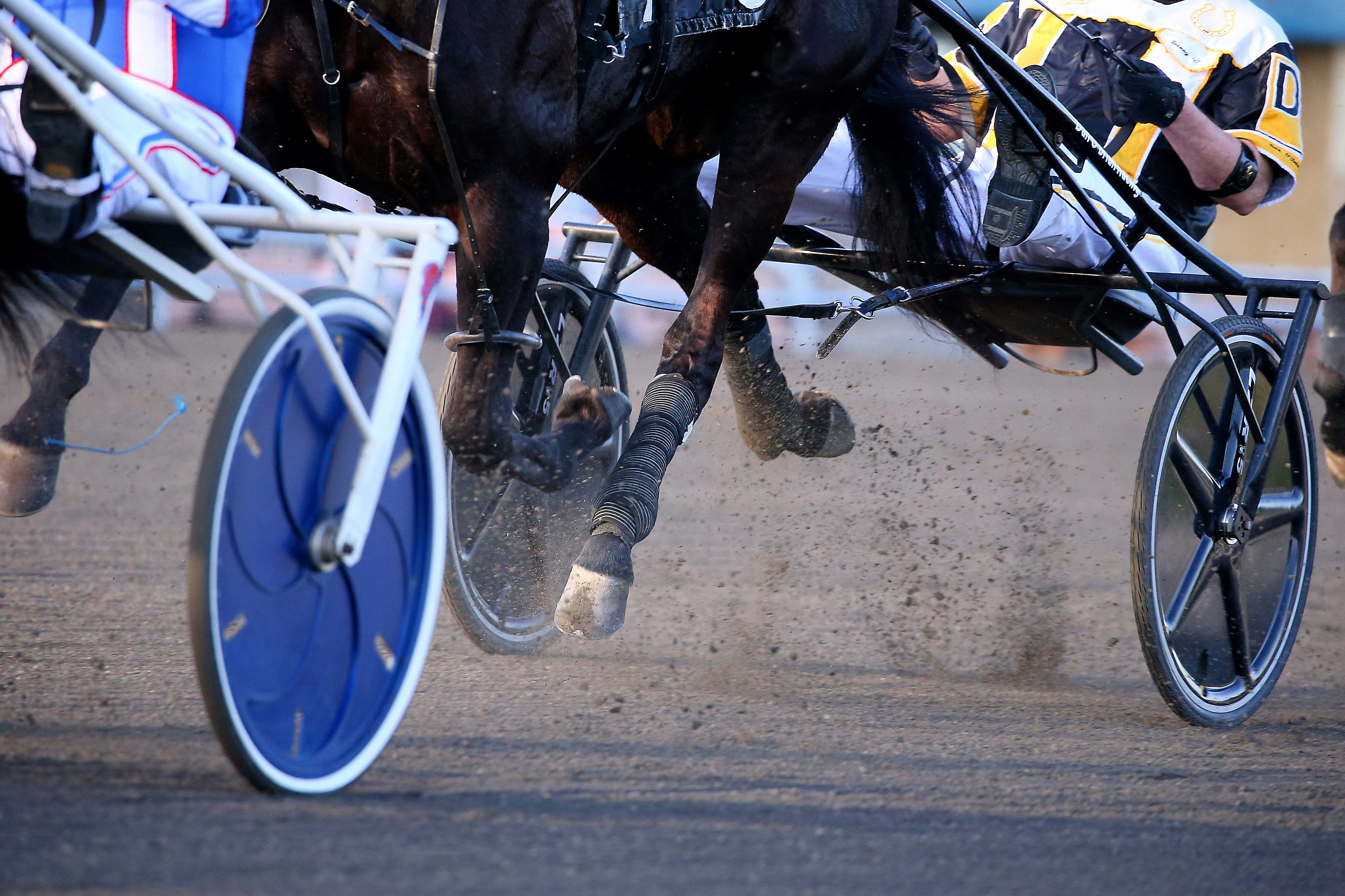 Saturday Training Cancelled at Woodbine Mohawk Park - Woodbine Mohawk Park