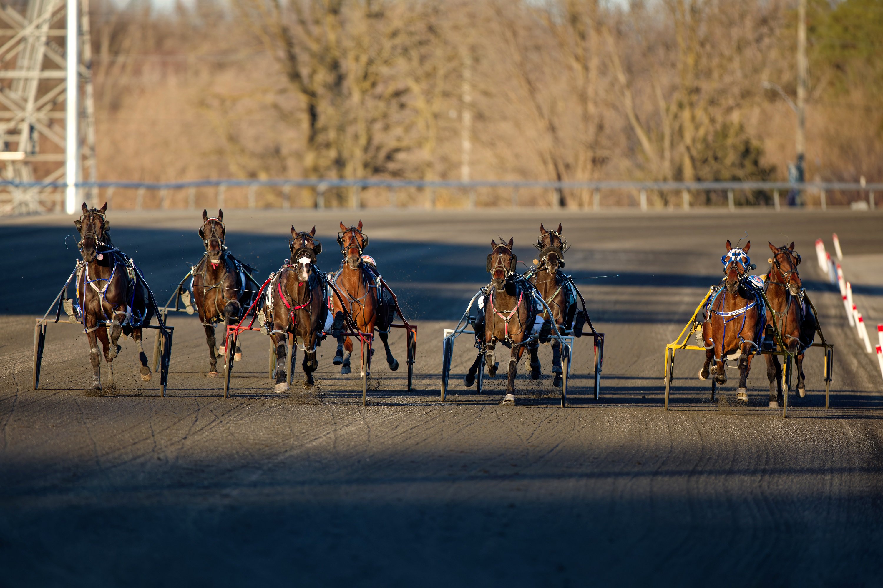 Woodbine Mohawk Park adds Pop-Up Series - Woodbine Mohawk Park