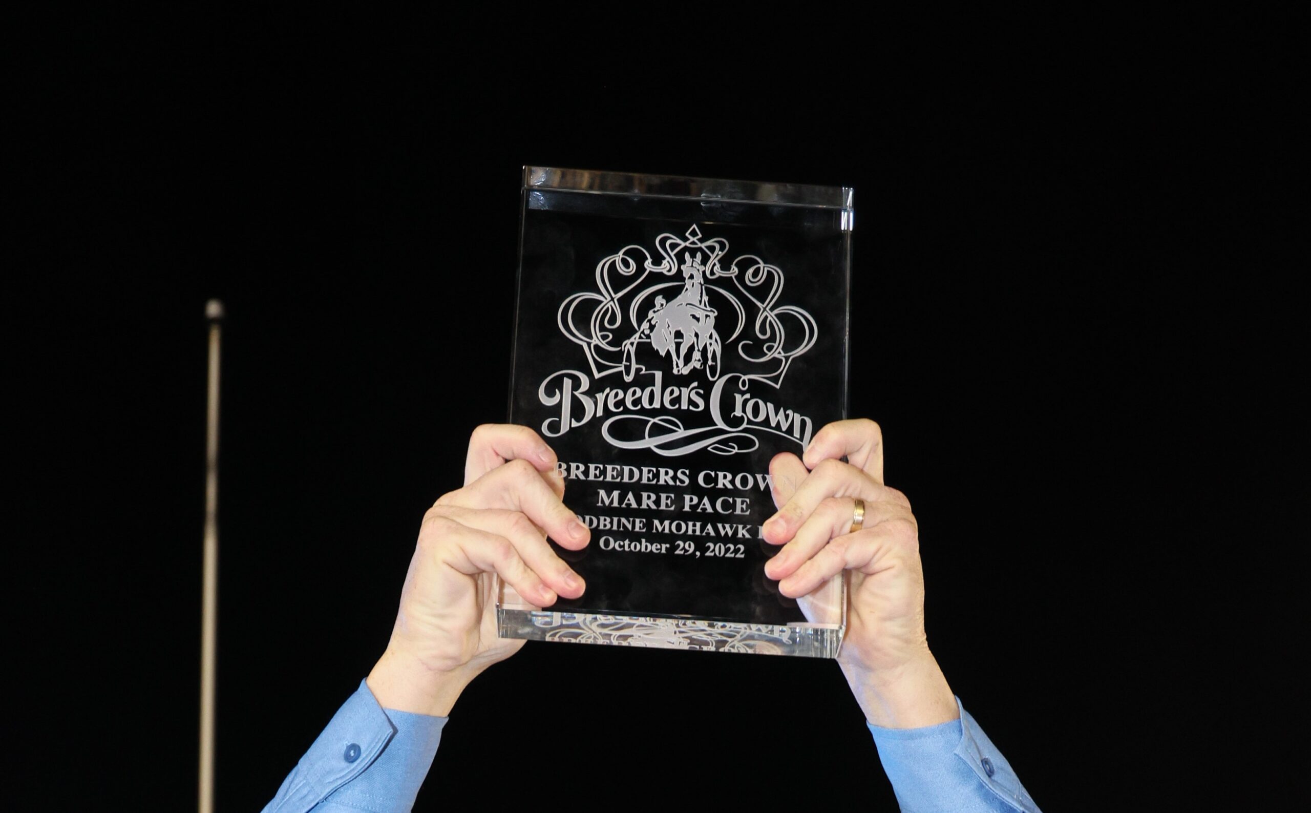 Breeders Crown entry box closes with 166 entrants for 2025 championship ...