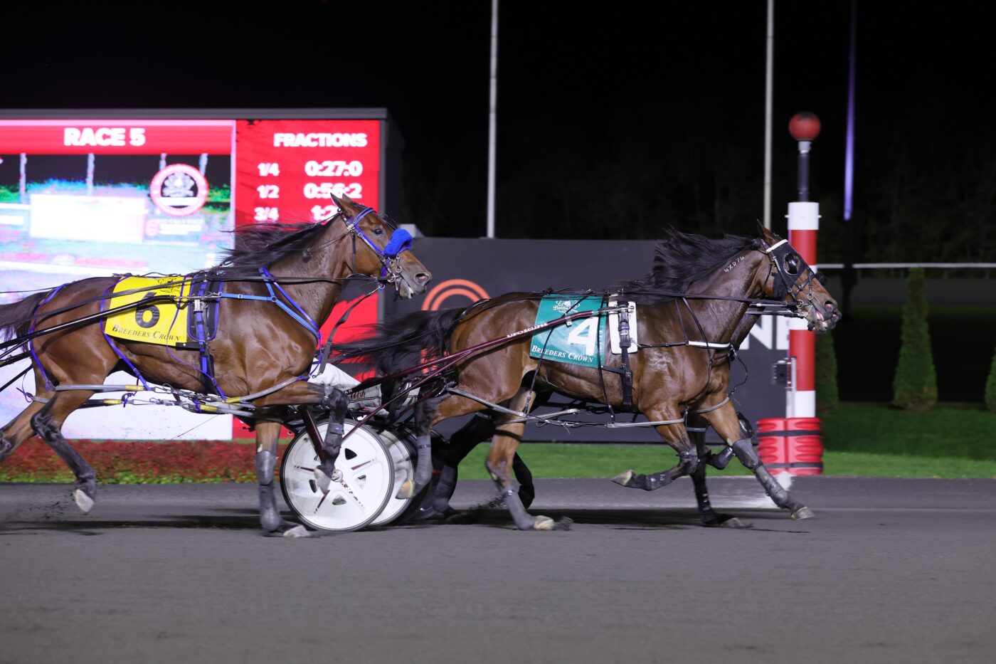 Miki And Minnie, The Last Martini Dead-Heat in Breeders Crown Filly ...