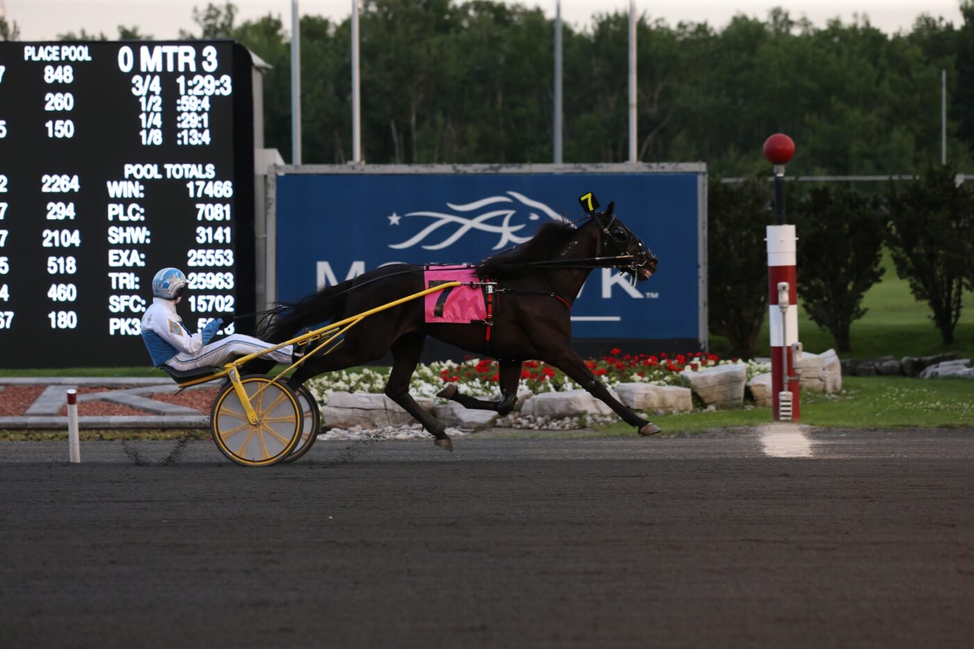 OSAS Pathways: Steel Reserve - Woodbine Mohawk Park
